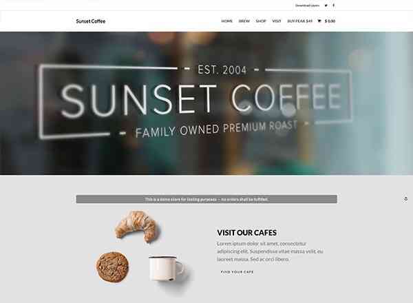 5+ Premium WordPress Blog Themes