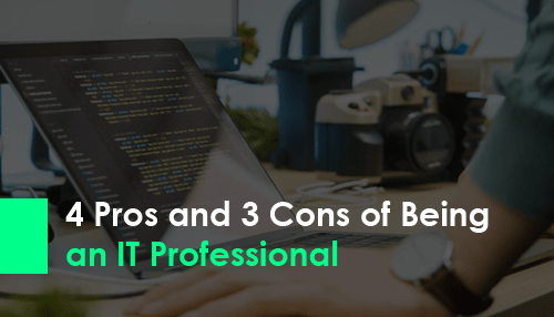 IT Professional : Pros and Cons of Being an IT Professional