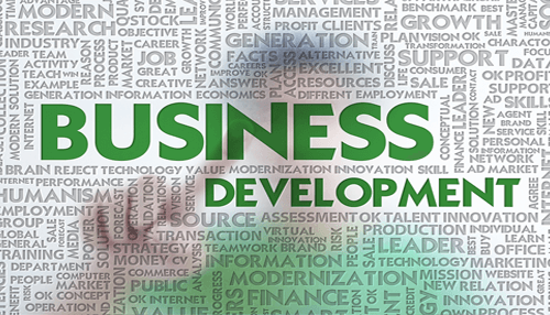 Step by Step Guide on Creating Business Development Techniques