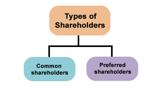 What Are the Different Types of Shareholders? What Are the Different ...