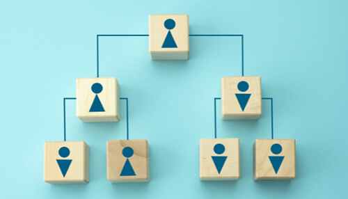 Different Types of Organizational Structures in Business