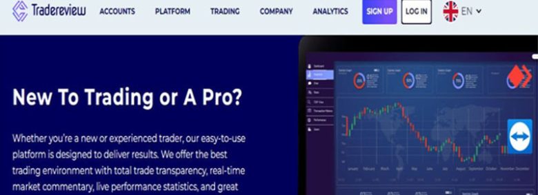 Trade in the Forex Market With Tradereview To Earn Excellent Profits