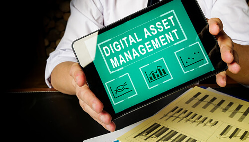 8 Top Digital Asset Management Software solutions In 2022