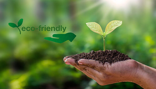 Five Ways to Become More Eco-Friendly