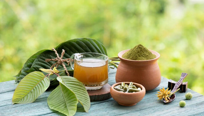 Borneo Kratom Guide : All You Need To Know About The Strain