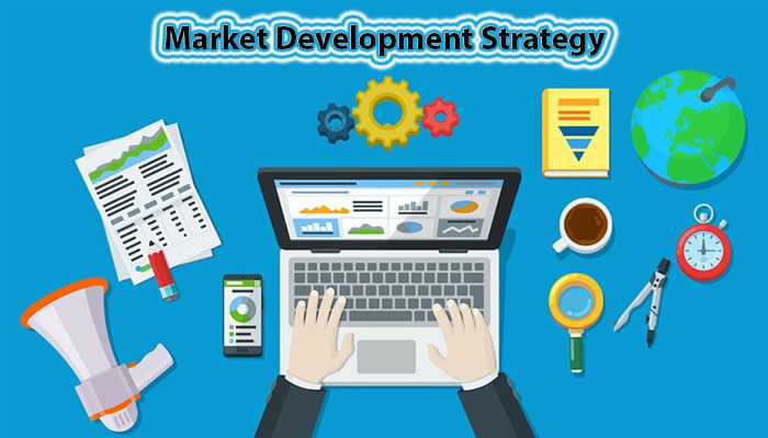 7 Steps To Build A Market Development Strategy For Business In 2022 ...
