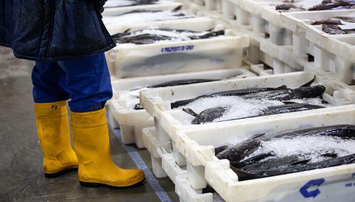 What Is Temperature-Controlled Packaging And Which Food Products ...