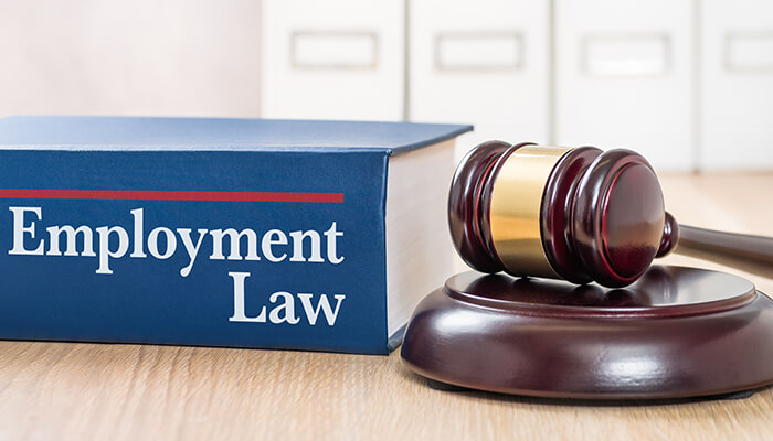 Expert Employment Law Guidance: Solicitors for Employee Rights
