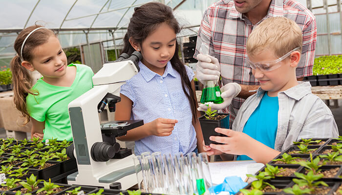 From Chemical Reactions to Biology: How to Make Science Experiments ...